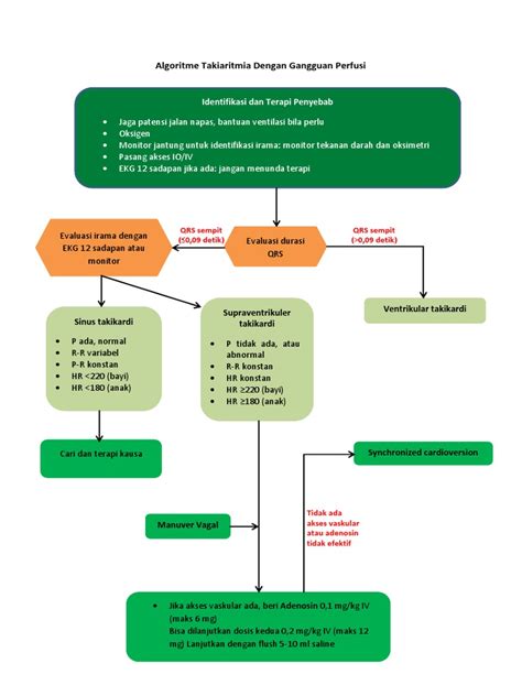 Algoritme Takiaritmia Dengan Gangguan Perfusi Pdf