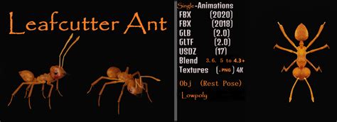 Leafcutter Ant Insect Flippednormals Leafcutter Ant Insect Flippednormals