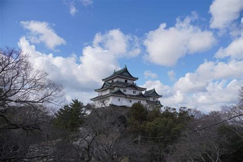 【日本關西和歌山】和歌山城、湯淺町｜久違的自由行、久違的日本空氣 Day1 格小姐遇見格先生