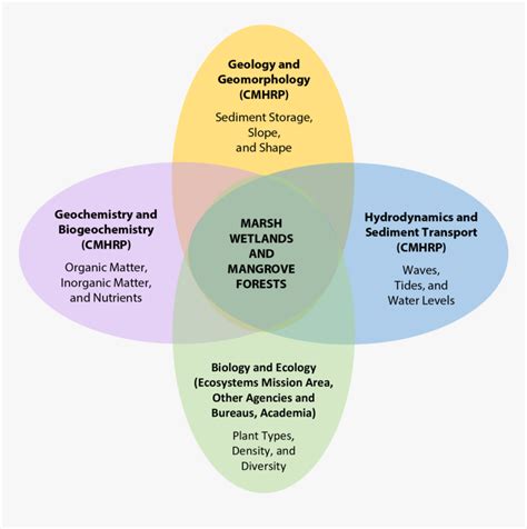 Venn Diagram Highlighting Important Controls On Living Nutrients And