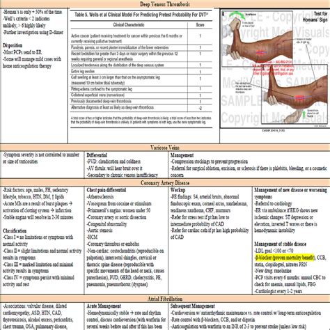 FNP Quick Clinical Guidelines Review Great To Print Out For