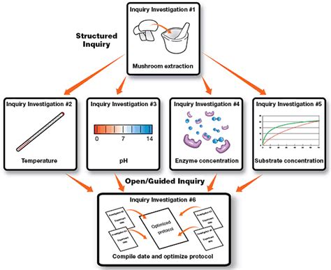 Biofuel Enzyme Reactions Kit For AP Biology Life Science Education Bio Rad