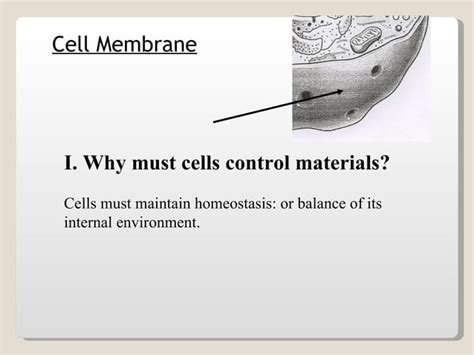 Diffusion And Osmosis Notes Lecture Ppt
