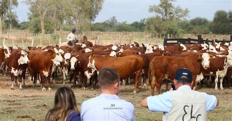La Nación Los Sistemas De Trazabilidad Son Una Gran Inversión Señalan