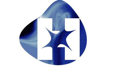 Technology Helmee Imaging