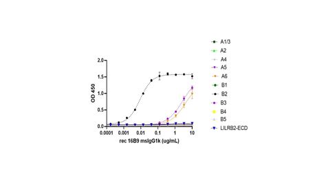 Human Ddr1 Antibody Mab2396 Randd Systems