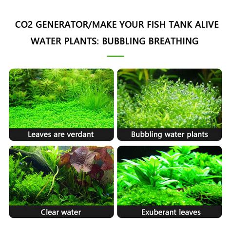 Aquário Azul Oceano Versão Diyco2 Gerador Válvula Solenóide Contador Bolha Plantas Aquáticas Co2