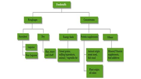 unit 16 classification of feed stuff pptx
