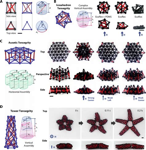 Various Magnetic Actuation Of Tensegrity Structures A Triangular