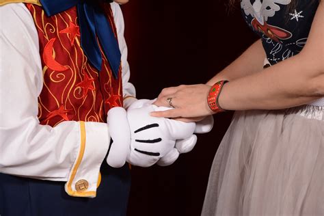 Flower Crowns And Disney Bound