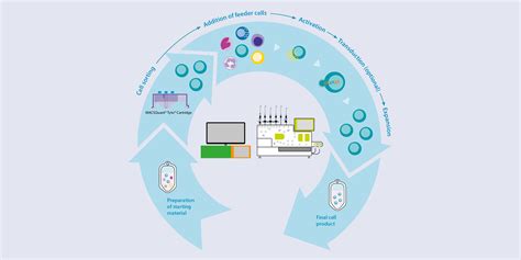 Tumor Reactive T Cells Manufacturing Til Therapy Miltenyi Miltenyi Biotec 대한민국