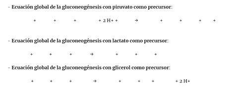 Juegos De Ciencias Juego De Gluconeogénesis Ec Global Cerebriti