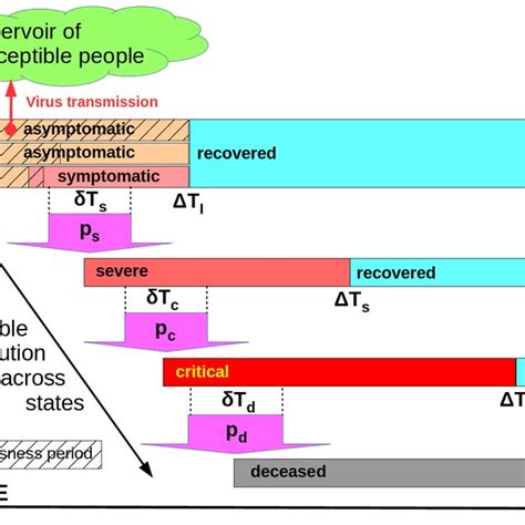 Flowchart Of The Stochastic Modelling Procedure For The Model Proposed Download Scientific