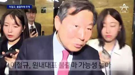 친윤 이철규 원내대표 불출마 가닥 동영상 Dailymotion
