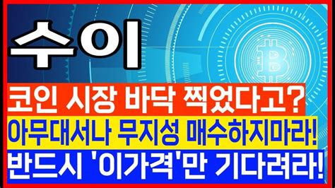 수이 코인 수이 수이코인 수이호재 수이전망 수이대응 수이가격 수이코인가격 수이코인가격전망 수이코인전망 수이코인시세 Youtube