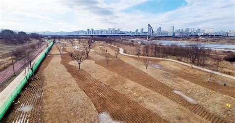 파크골프장·잔디광장세종시 금강 체육·휴식 명소로 탈바꿈