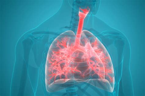 Pcr Testing Accuracy Comparison And Beyond