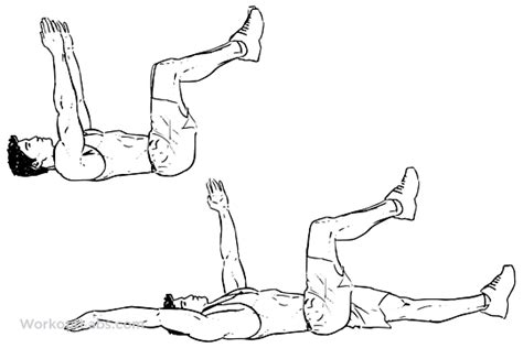 Dead Bug Illustrated Exercise Guide Workoutlabs