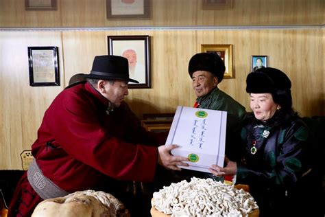 УЛСЫН АВАРГА МАЛЧНЫ ШАГНАЛЫГ ГАРДУУЛАН ӨГЛӨӨ