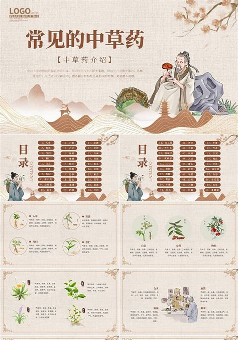 中药特色ppt 中药特色ppt模板下载 觅知网
