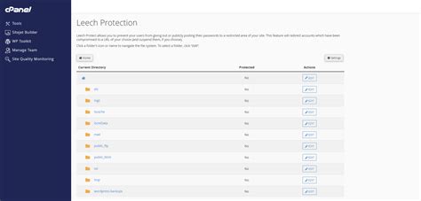 How To Enable Leech Protection In Cpanel Greencloud Documentation