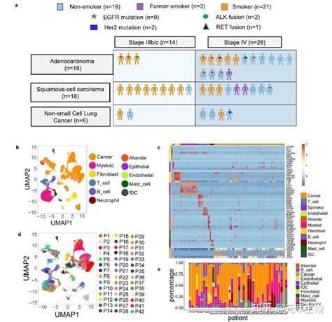 科研速递 肺癌单细胞测序研究 知乎