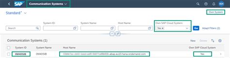 Streamlining Sap Mdg And S4hana Integration