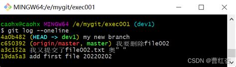 Git快速入门（windows系统）window Git Csdn博客