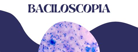 Como é Feita A Baciloscopia Cursau Educação Blog