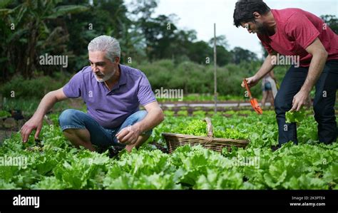 Community Urban Farmers At Small Local Organic Farm Group Of People
