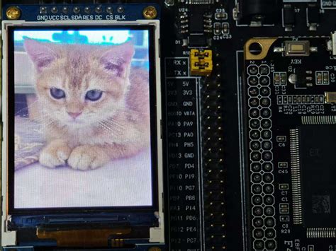 Stm32——“扩展动态随机存储器sdram”sdram写恢复时间在手册上 Csdn博客