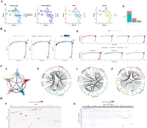 Functional Analysis And Clinical Significance In Chondrocytes And Download Scientific Diagram