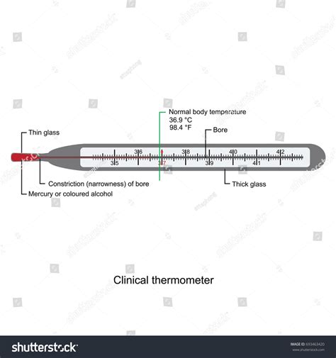 Thermometer Diagram Types At Carmela Schatz Blog