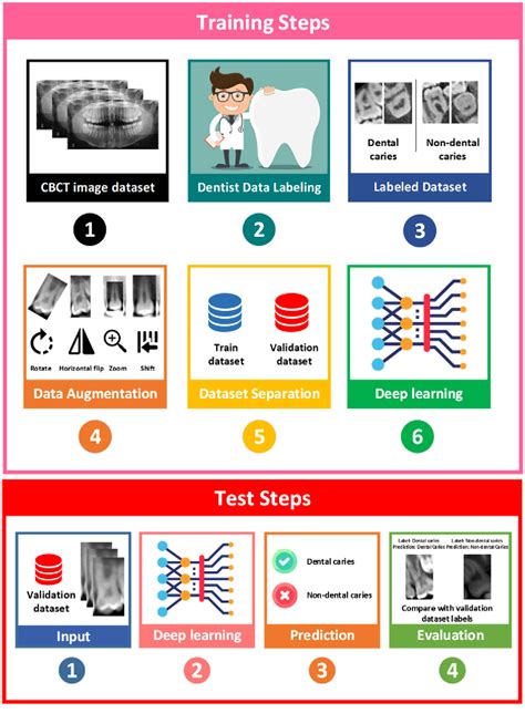 Figure 1 From Dental Caries Detection And Classification In Cbct Images Using Deep Learning