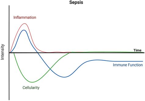 The Calm After The Storm Implications Of Sepsis Immunoparalysis On