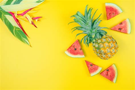 웹 배너와 파스텔 색상 배경에 신선한 수박 소나무 사과와 헬리코니아 열대 꽃 여름 과일의 그룹에 대한 최소한의 평면 누워 창조적 인 디자인 0명에 대한 스톡 사진 및 기타