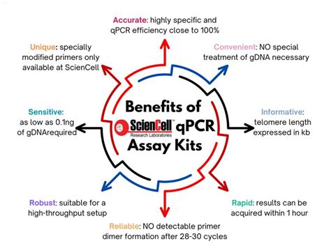 Use Sciencells Quantification Qpcr Kits To Measure Telomere Length Of Different Species