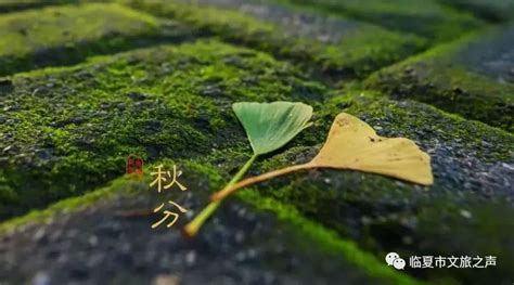 临夏：欲说还休，却道天凉好个秋澎湃号·政务澎湃新闻 The Paper