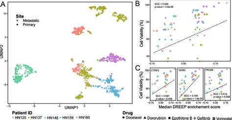 Drug Response Prediction In Heterogenous Patient Derived Cultures Download Scientific Diagram