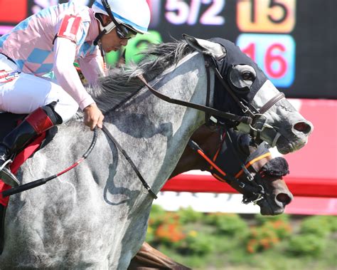 Witty Wins Van Clief Hollywood Walk Takes Andy Guest