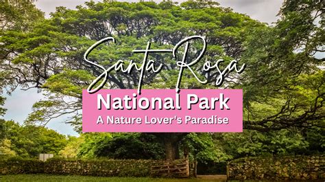 Santa Rosa National Park A Nature Lovers Paradise I Love Pura Vida
