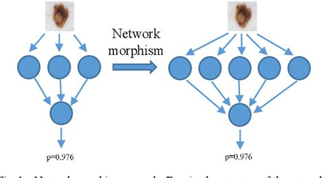 Figure 3 From Deep Neural Network Architecture Search Using Network Morphism Semantic Scholar