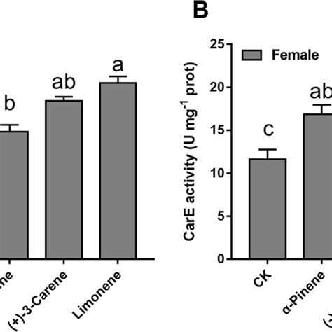 Care Activities Of Emerged Adults Sex Separated In D Armandi After