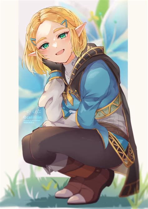 Princess Zelda The Legend Of Zelda And 1 More Drawn By Seri
