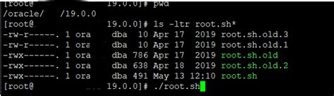 Sap Oracle Upgrade From 12c To 19c On Azure Sap Community