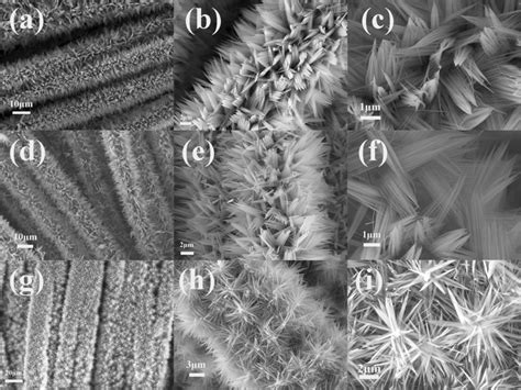 Sem Micrographs Of A C Co Ch D F Co3o4 And G I Co3o4 Co Ch Download Scientific Diagram
