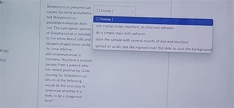 Solved Streptococcus Pneumoniae Causes Bacterial Pneumonia