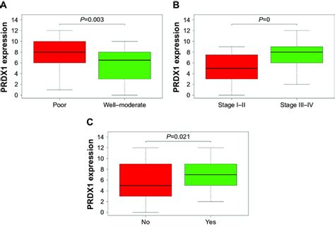 Relationship Between Prdx1 Expression And Clinicopathologic Parameters