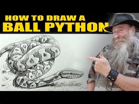 How To Draw Ball Python