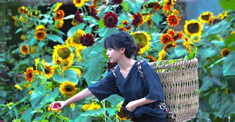 What Explains Chinese Vlogger Li Ziqi S Success Cgtn Hot Sex Picture